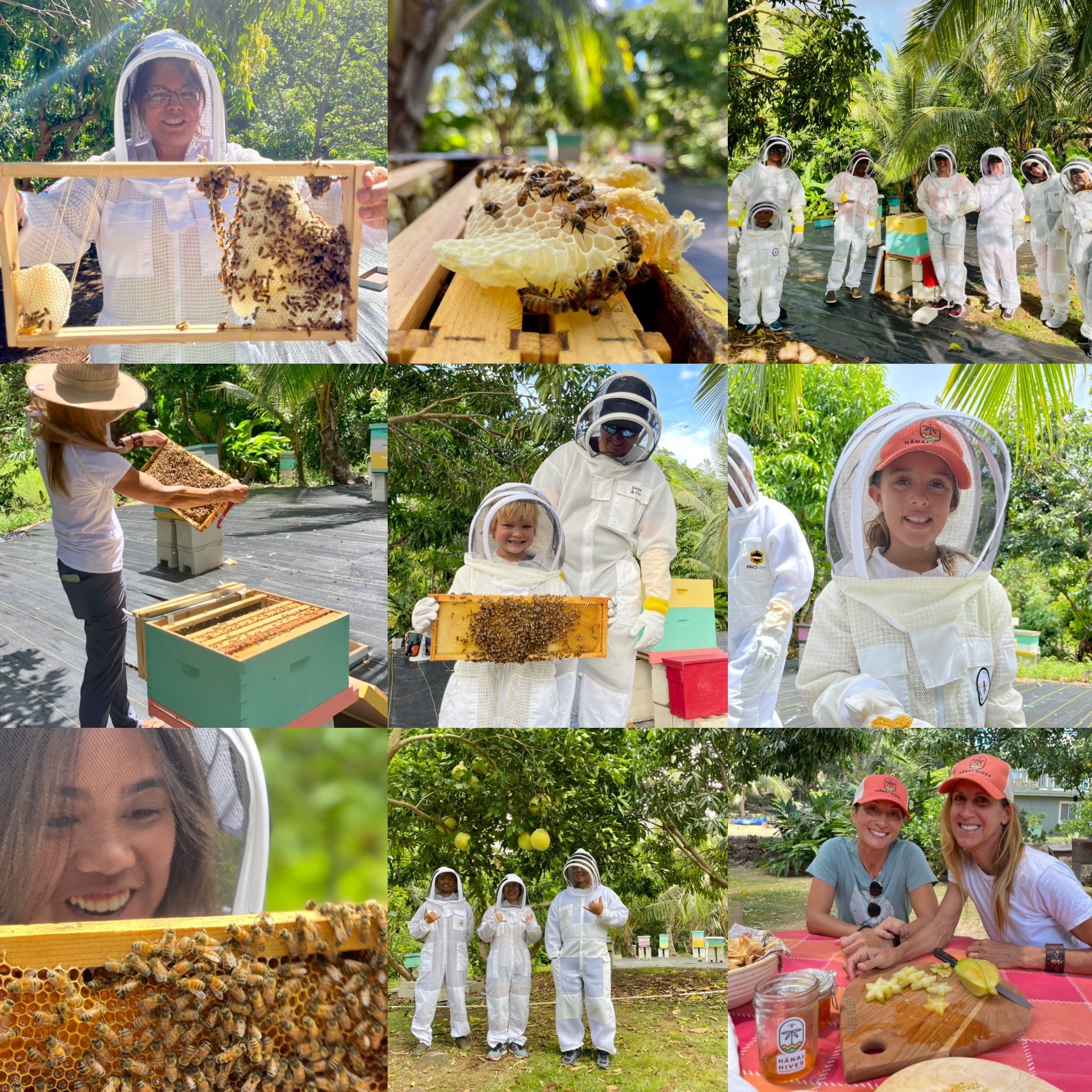 Bee Farm Tour - HĀNAI HIVES